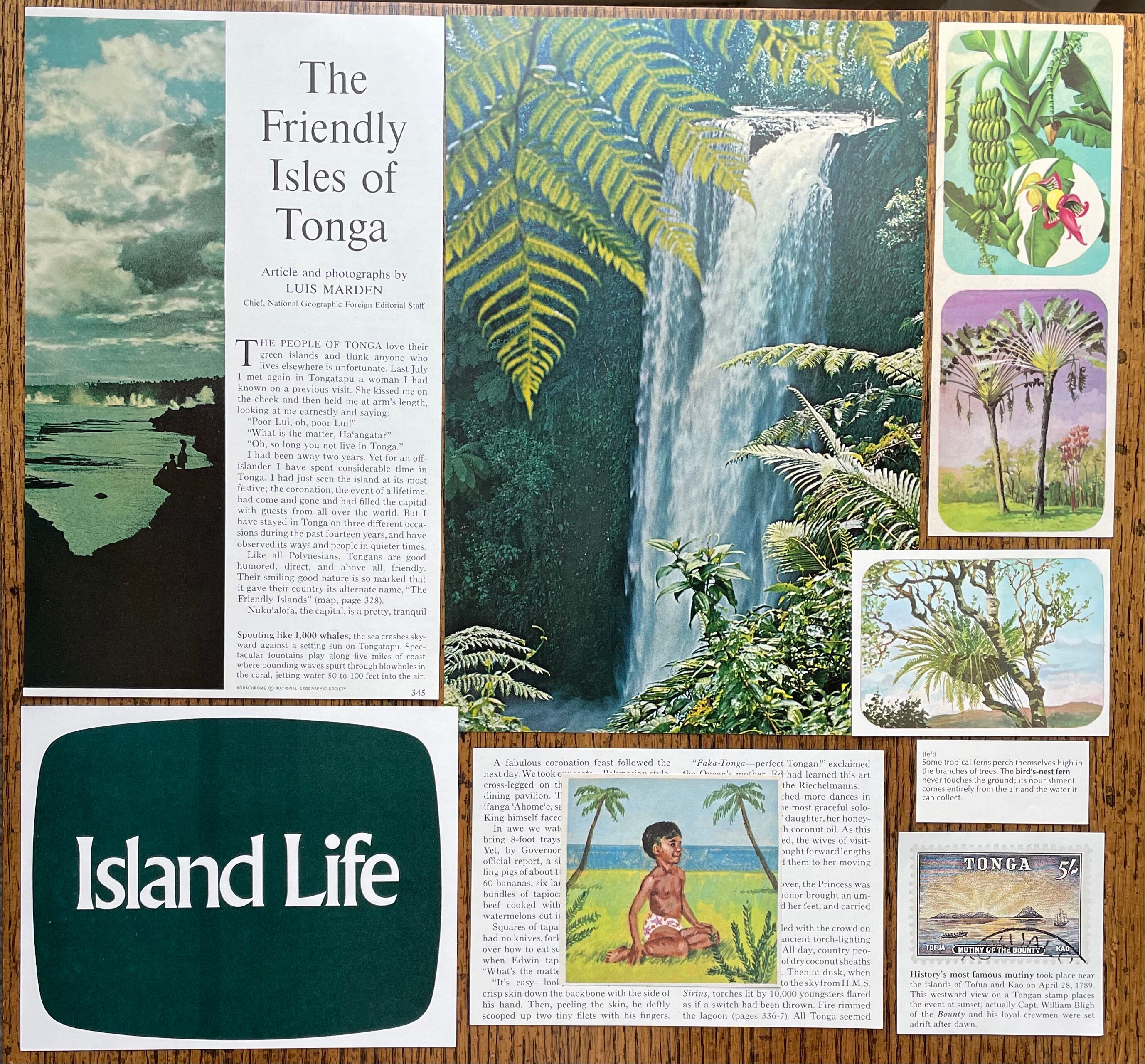 Let's Travel to Fiji and Tonga Vintage Tropical Island in - Etsy