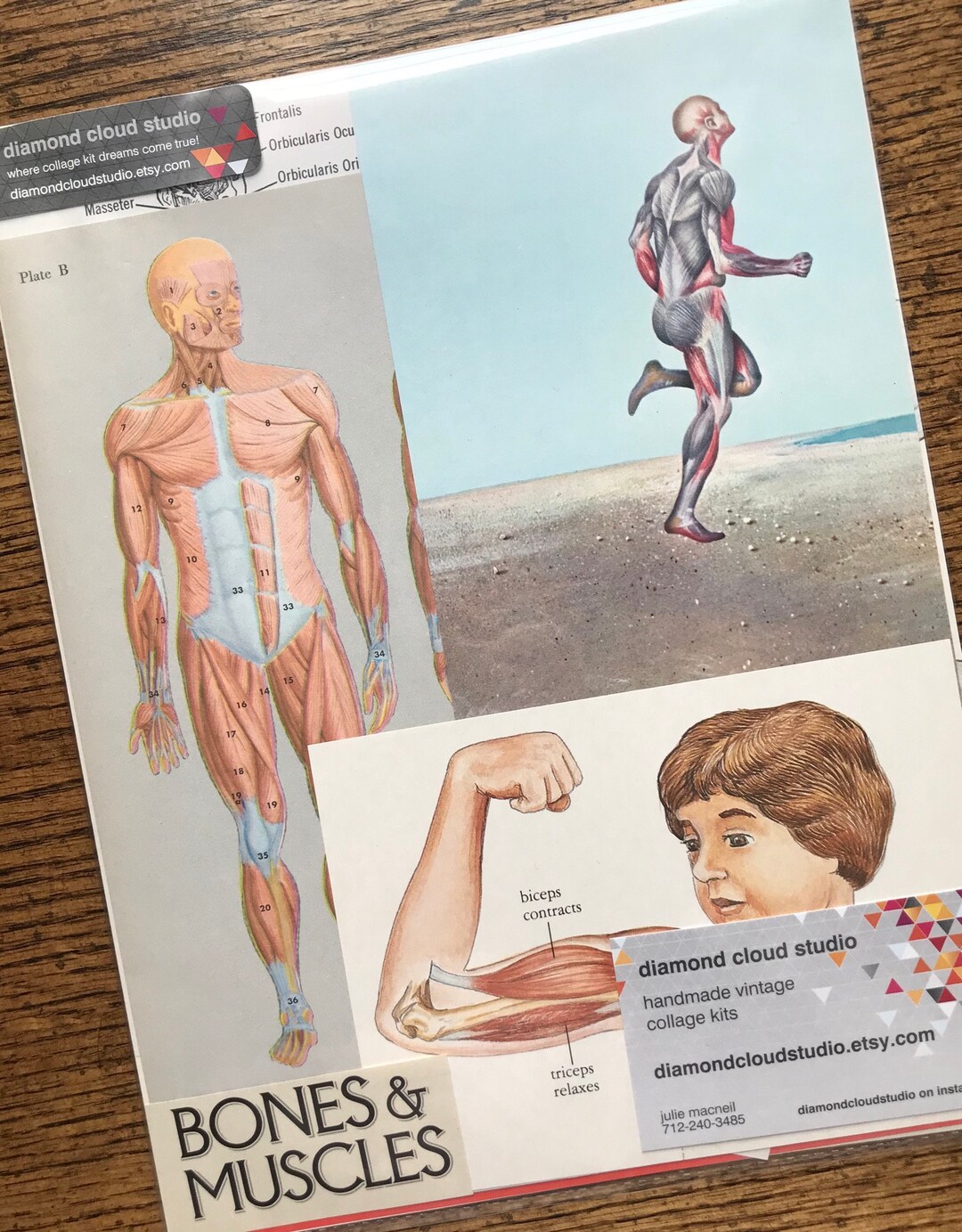 Muscle Man Vintage Anatomy Muscles Weird Science Deluxe - Etsy