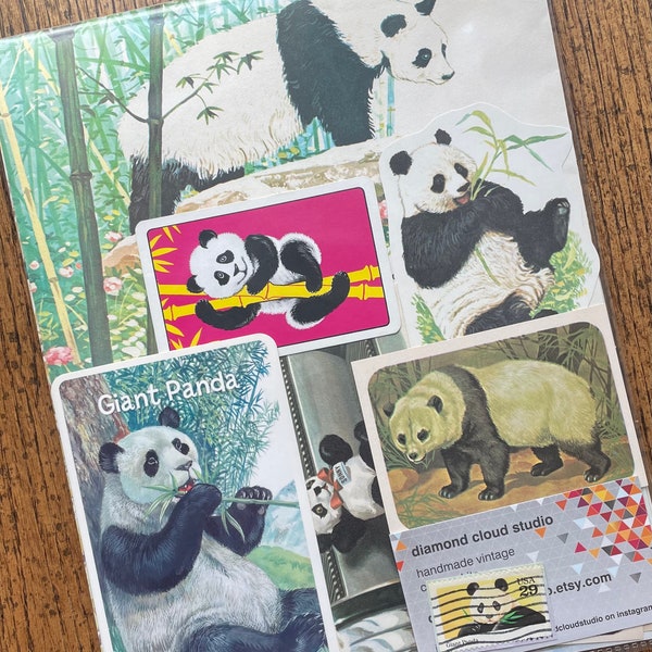 Panda Bear - Etsy