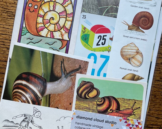 The Trail of the Snail Vintage Nature Collage Scrapbook and - Etsy