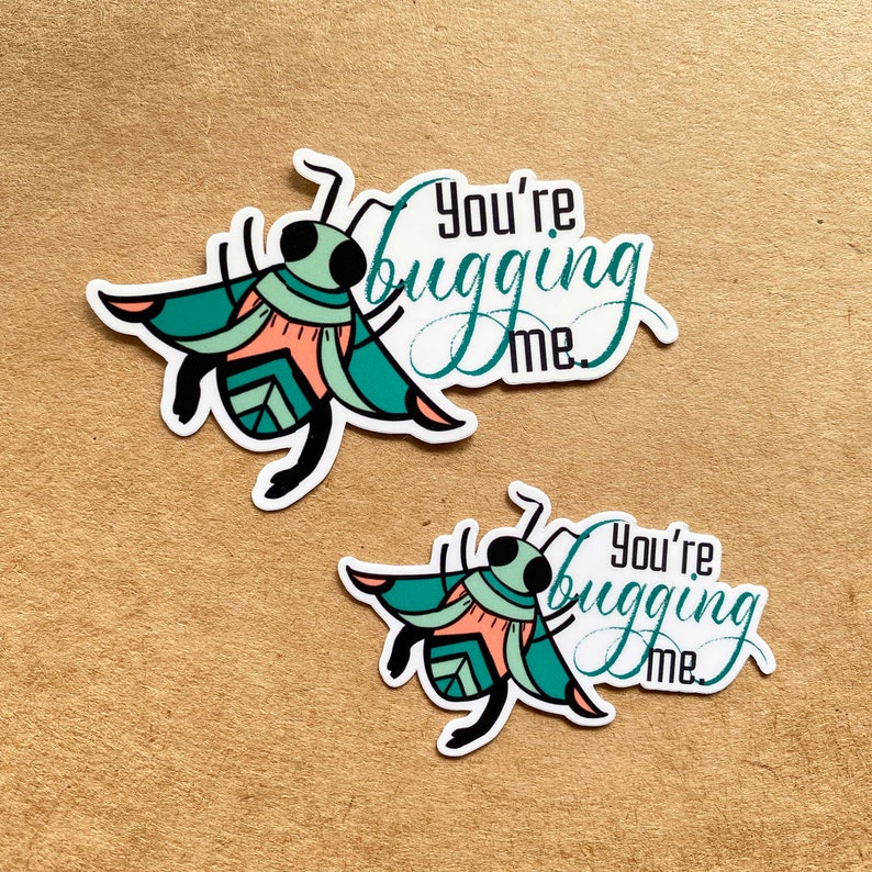 You're Bugging Me Sticker Bug Decal Annoying Me Sticker - Etsy