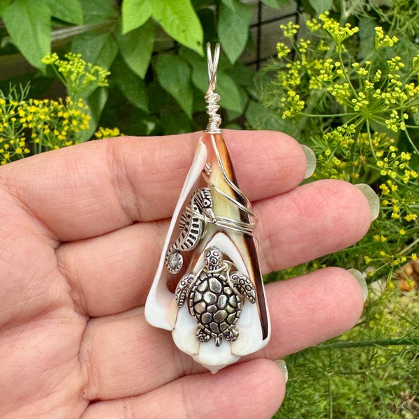 Sea Shell Wire Wrap - Etsy