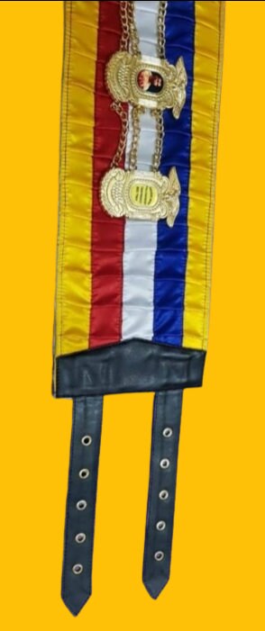 MIKE TYSON BOXING Ring Magazine Championship Title Belt - Etsy