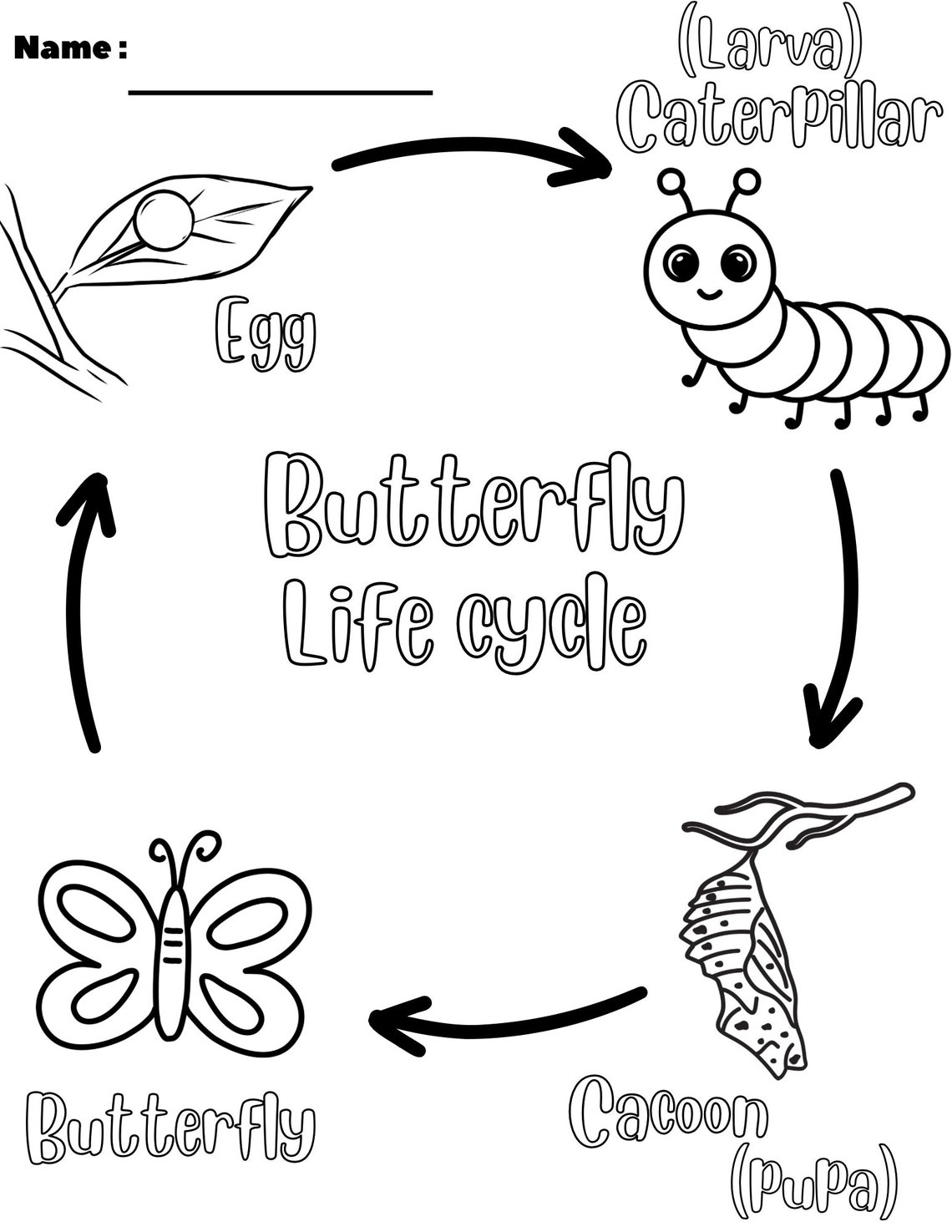 Butterfly Life Cycle Coloring Sheet Life Cycle of a Butterfly Coloring ...