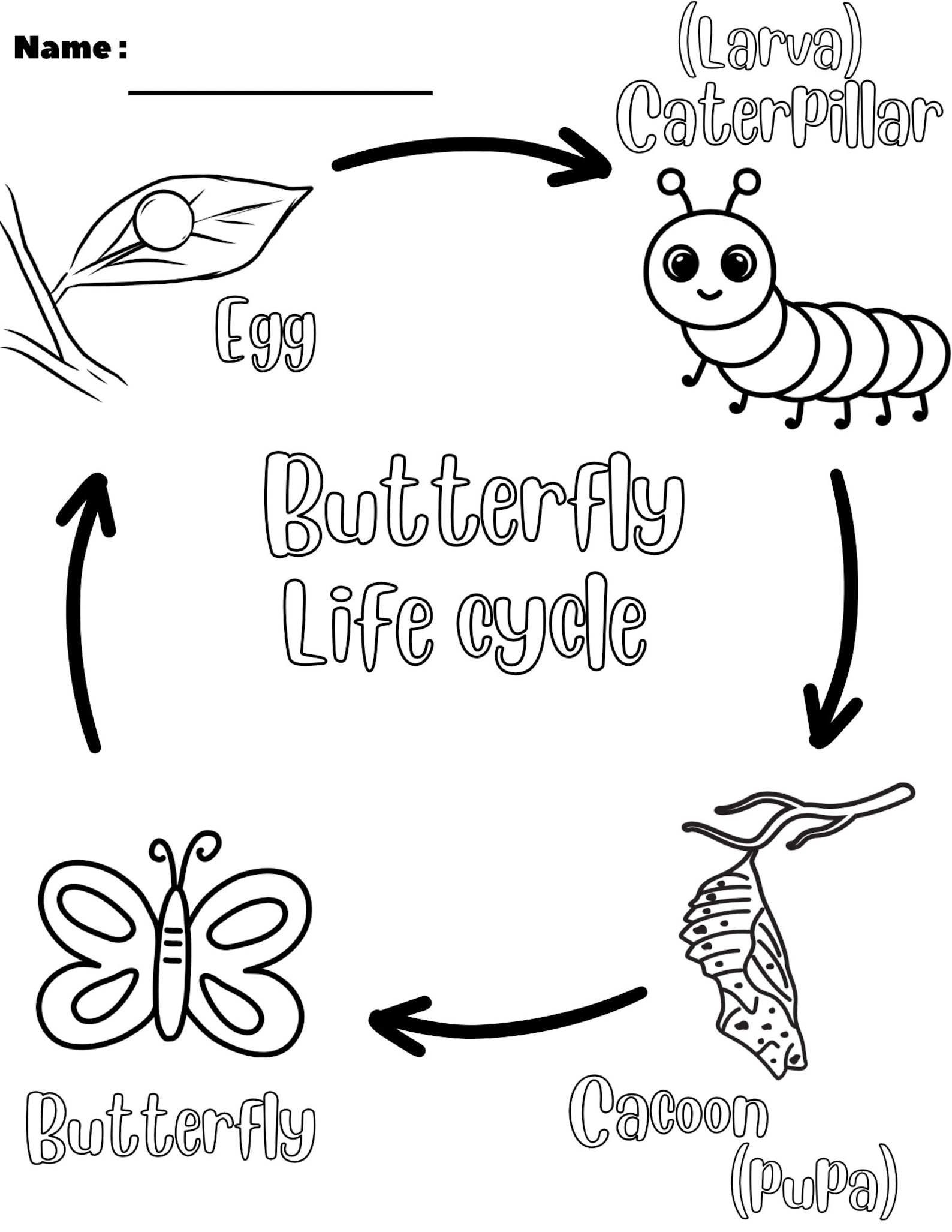 Butterfly Life Cycle Coloring Sheet Life Cycle of a Butterfly Coloring ...
