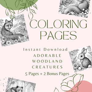 Coloring Pages Adorable Woodland Creatures for Adults and Children ...