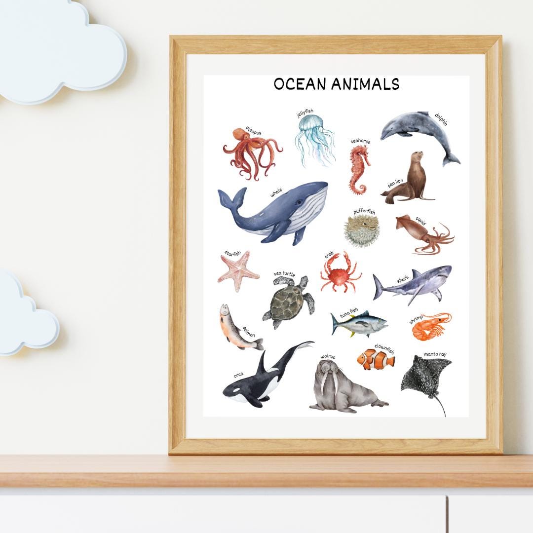 Ocean Animals Posters, Educational Printables, Homeschool Decor ...