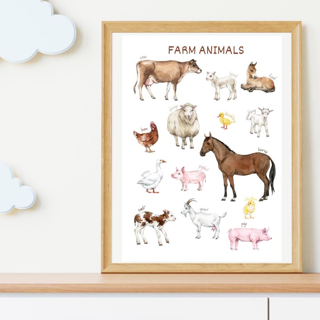 Farm Animals Poster, Domestic Animals Poster, Educational Poster ...