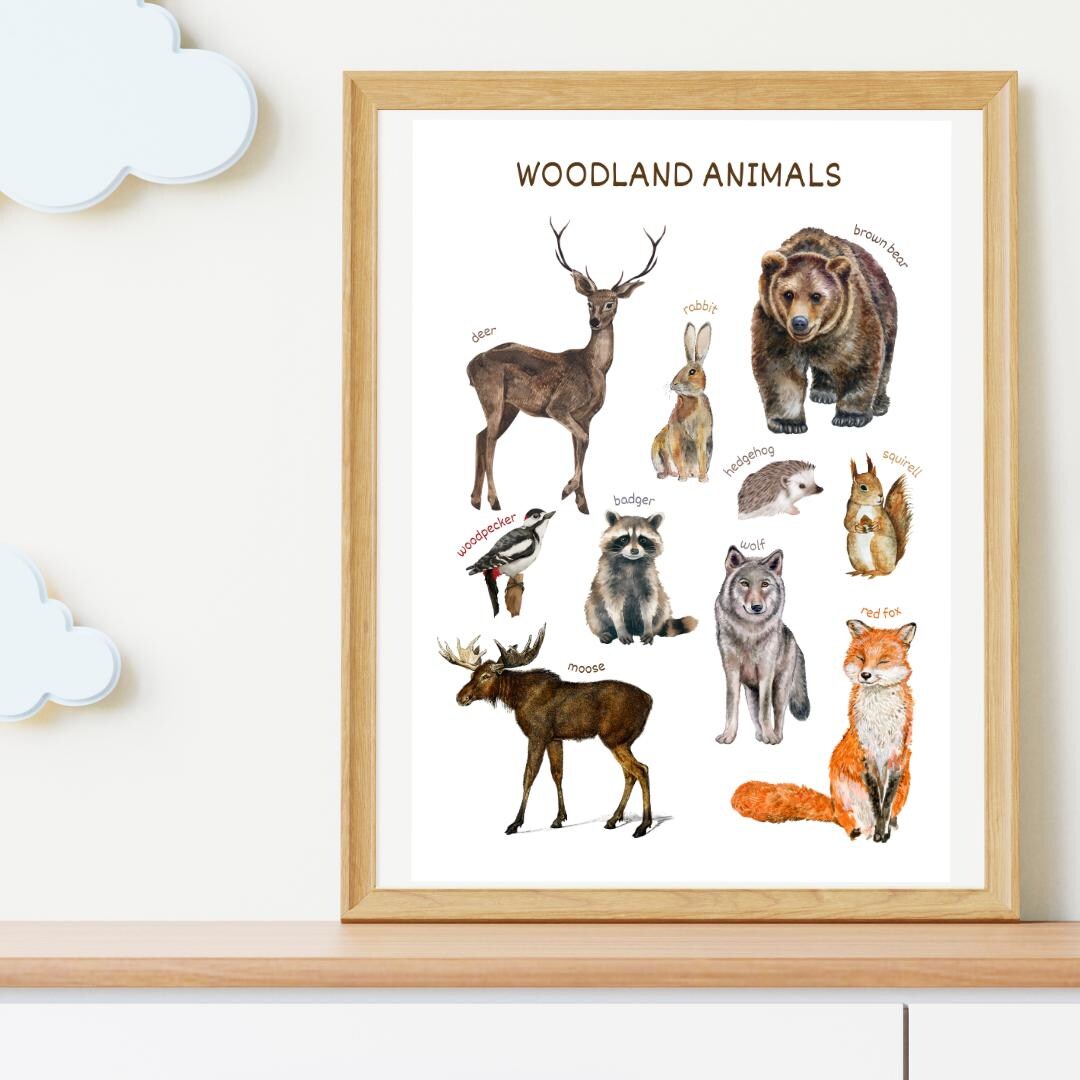 Woodland Animals Poster, Educational Poster, Montessori Poster ...