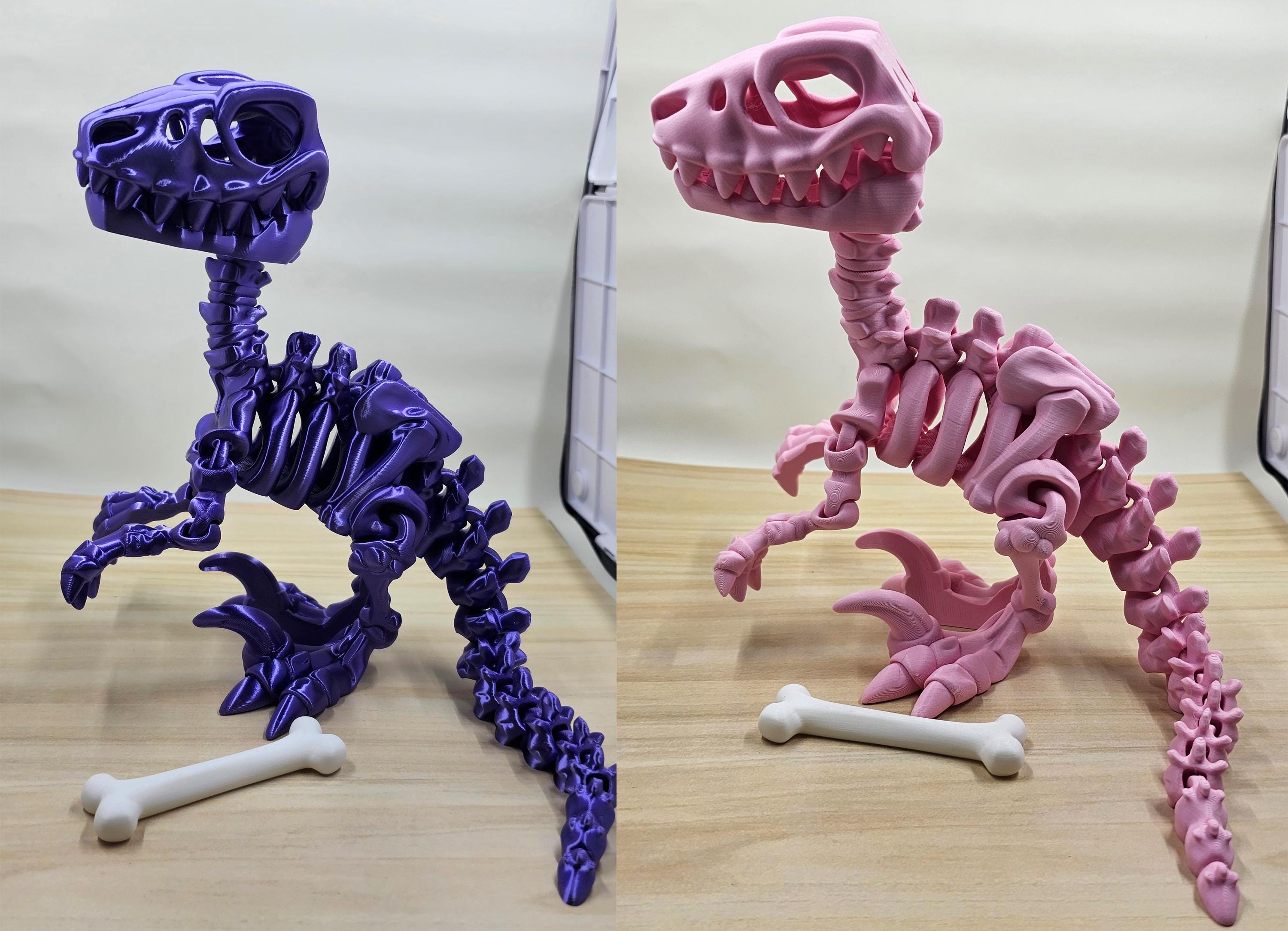 Articulated Flexi Skeleton Raptor 3D Printed Flexi Factory Design - Etsy