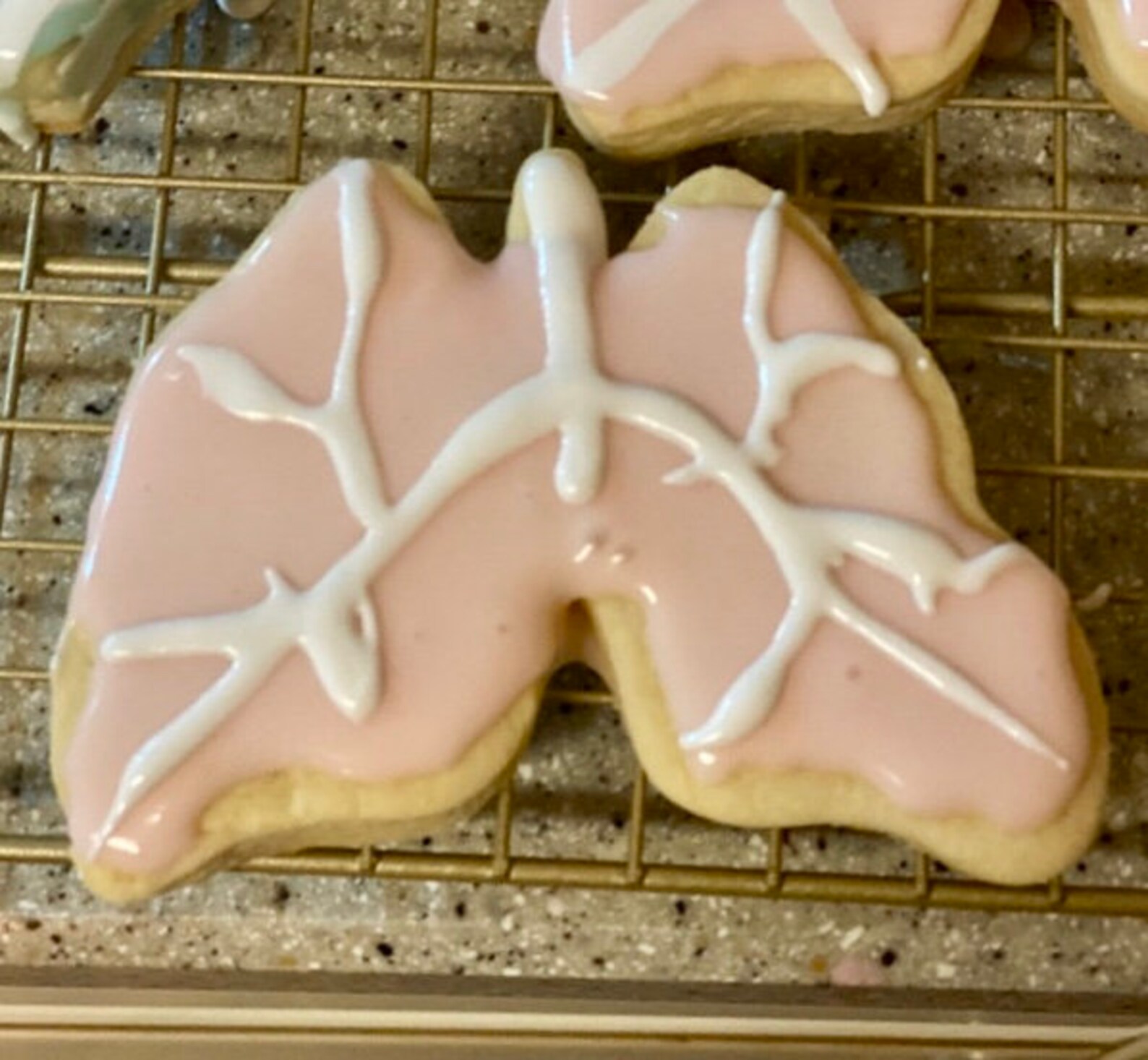 Anatomical Lungs Cookie Cutter Metal USA Handmade by West - Etsy