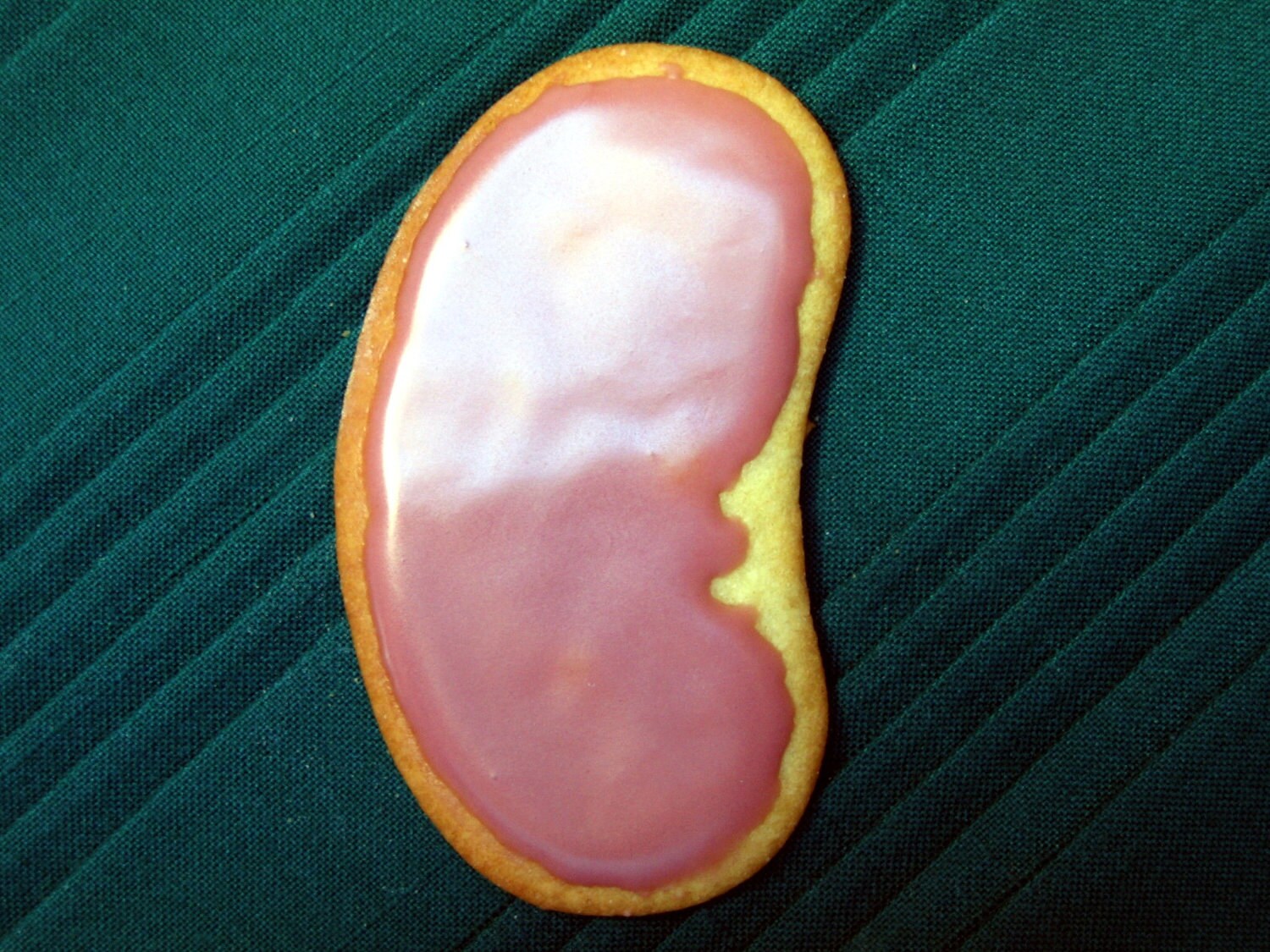 Anatomical Kidney Cookie Cutter Large 4 Inch USA Handmade by West ...