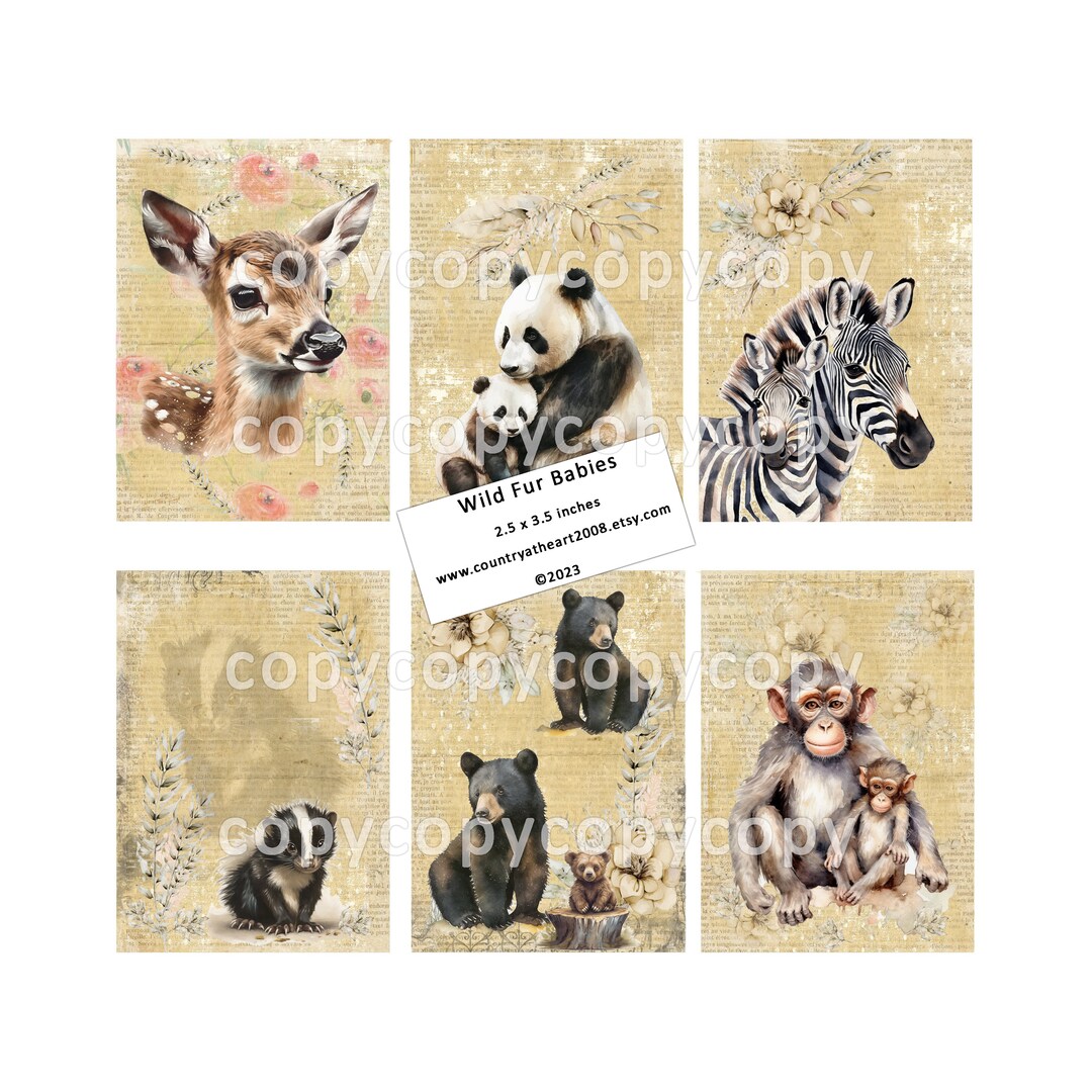 Wild Fur Babies 2.5 X 3.5 Inches Printable Digital Collage Sheet ...
