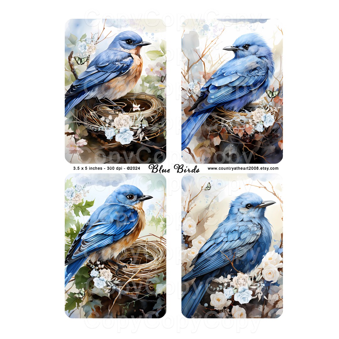 Blue Birds - High Quality Collage Sheet - Printable Download - Gift ...