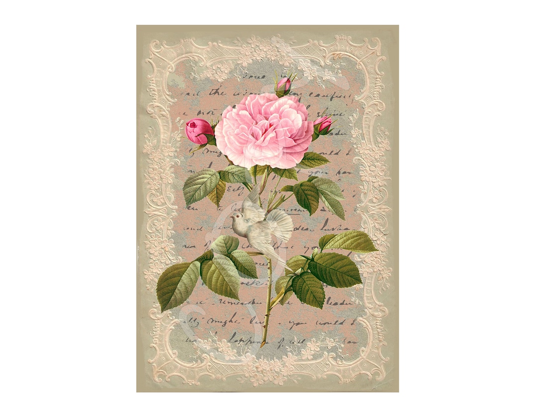 Rose Sheet No. 3- U Print Digital Download Collage Sheet - Etsy