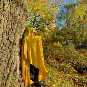 Golden Velvet Hooded Cloak With Egyptian Embroidery, Turquoise Lining ...