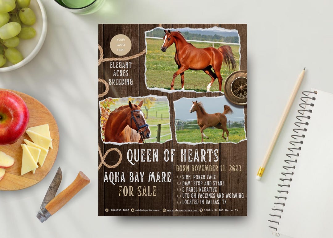 Professional Vintage Western Horse Breeding Sales Flyer Template - Etsy