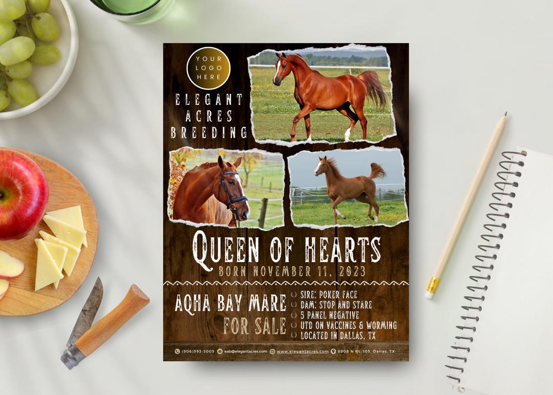 Professional Vintage Western Horse Breeding Sales Flyer Template - Etsy