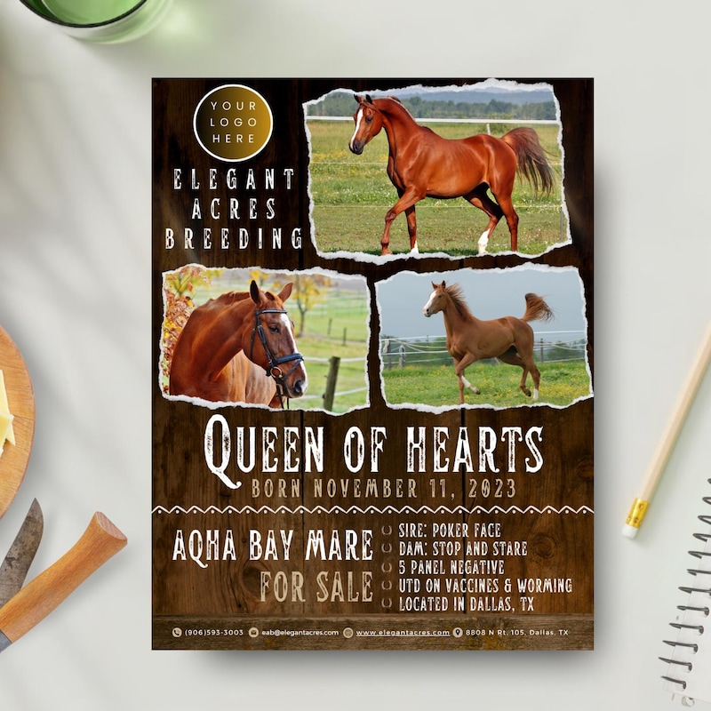 Vintage Horse Magazine Ad - Etsy