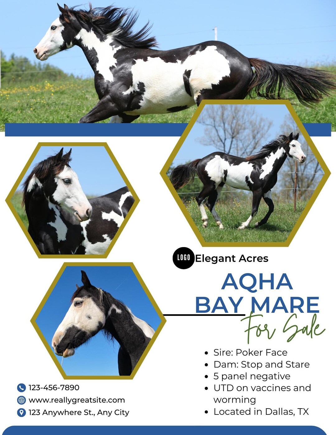 Elegant Professional Horse Breeding Sales Flyer Template - Etsy