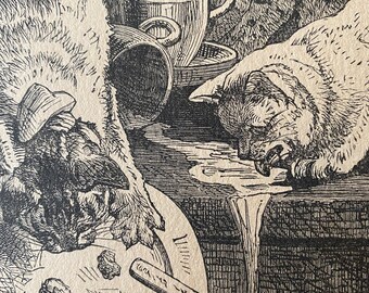 Cats Behaving Badly Vintage Book Engraving