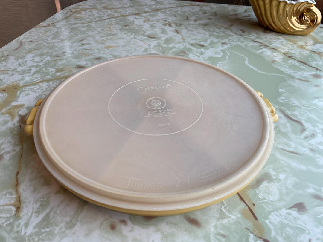 Vintage Divided Tupperware With Lid - Etsy