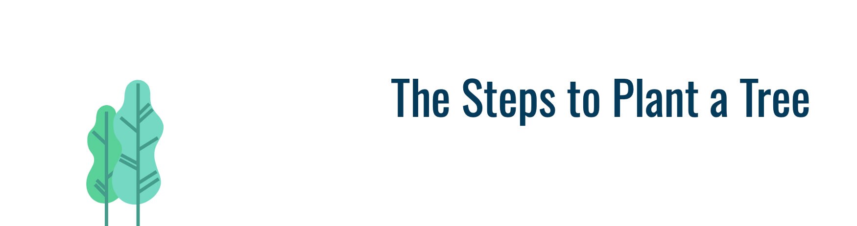 How to Plant a Tree - Easy Step-by-step Process for Kids. - Etsy