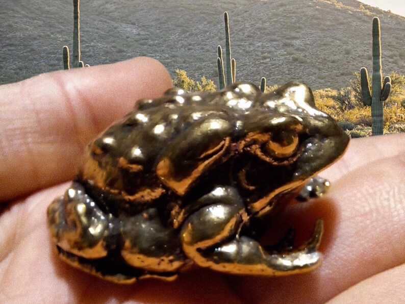 Sanoran Desert Toad Bufo Alvarius Sacred Ceremony Alter Piece Incilius ...