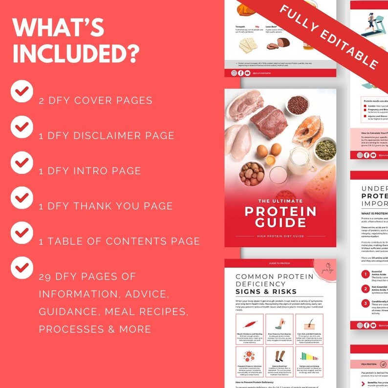 Guide to Protein, Ebook Template Canva, Nutrition Ebook Template ...