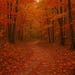 Autumn Forest Path Poster Set – Fall Foliage Digital Art Prints - Etsy