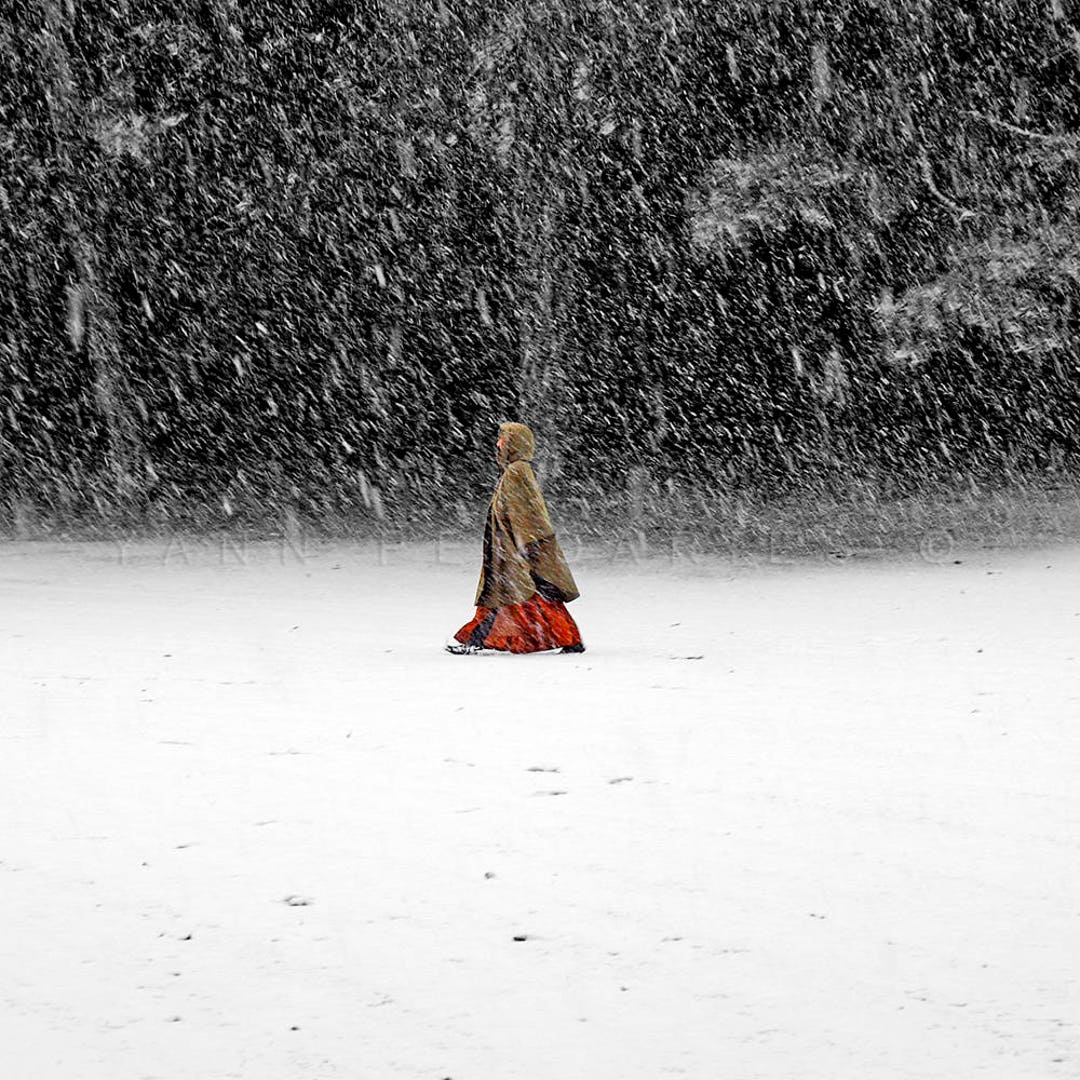 Winter Art, Red Riding Hood, Winter Wonderland, Winter Photography ...