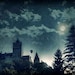 Moonlight,enchanted Forest,halloween,moon,full Moon Forest,haunted ...