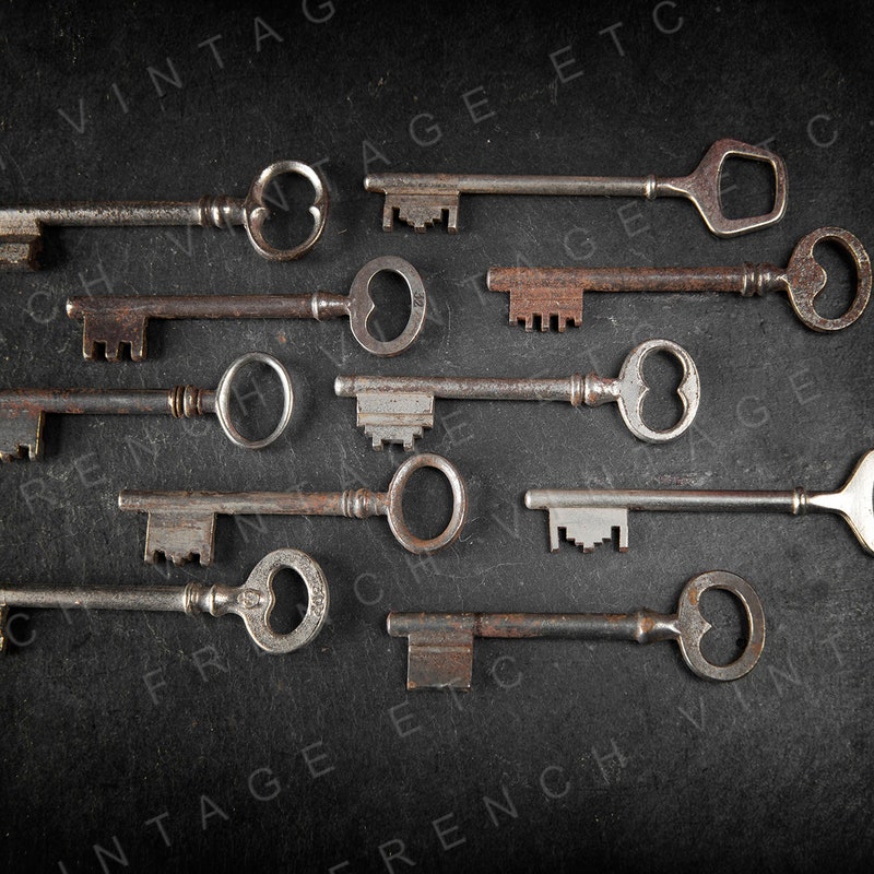 PhotographyDream - Etsy