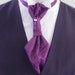 Mens Eggplant Purple Paisley Ascot Cravat Pre Tied Mens Ascot With ...