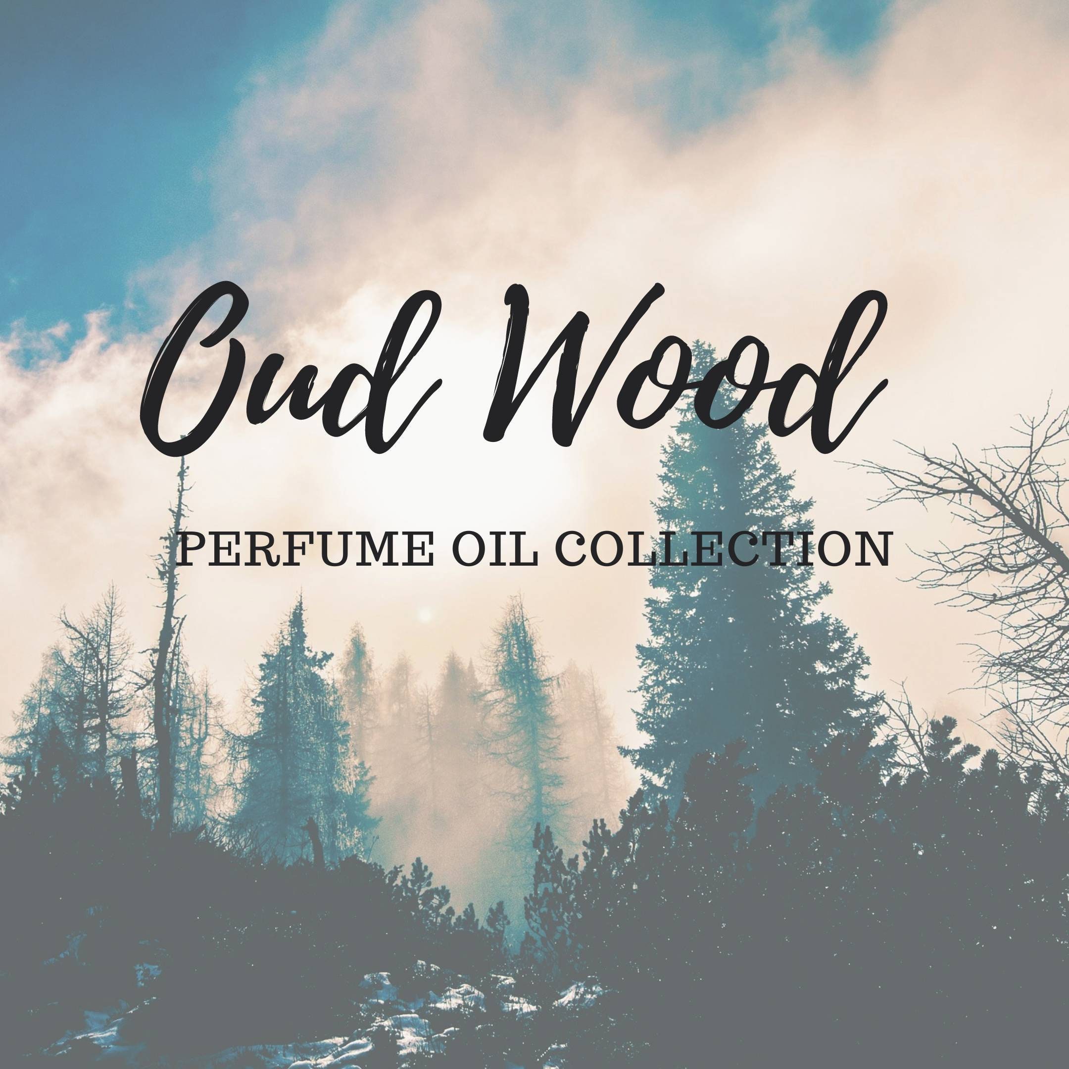 7 OUD WOOD Perfume Oils / Woodsy Earthy/ Authentic Gemstone & - Etsy