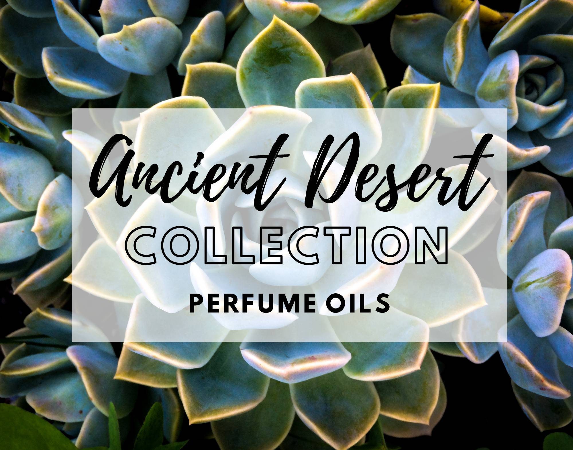 ANCIENT DESERT Perfume Oil Collection ... 4 Natural Gemstone Infused ...