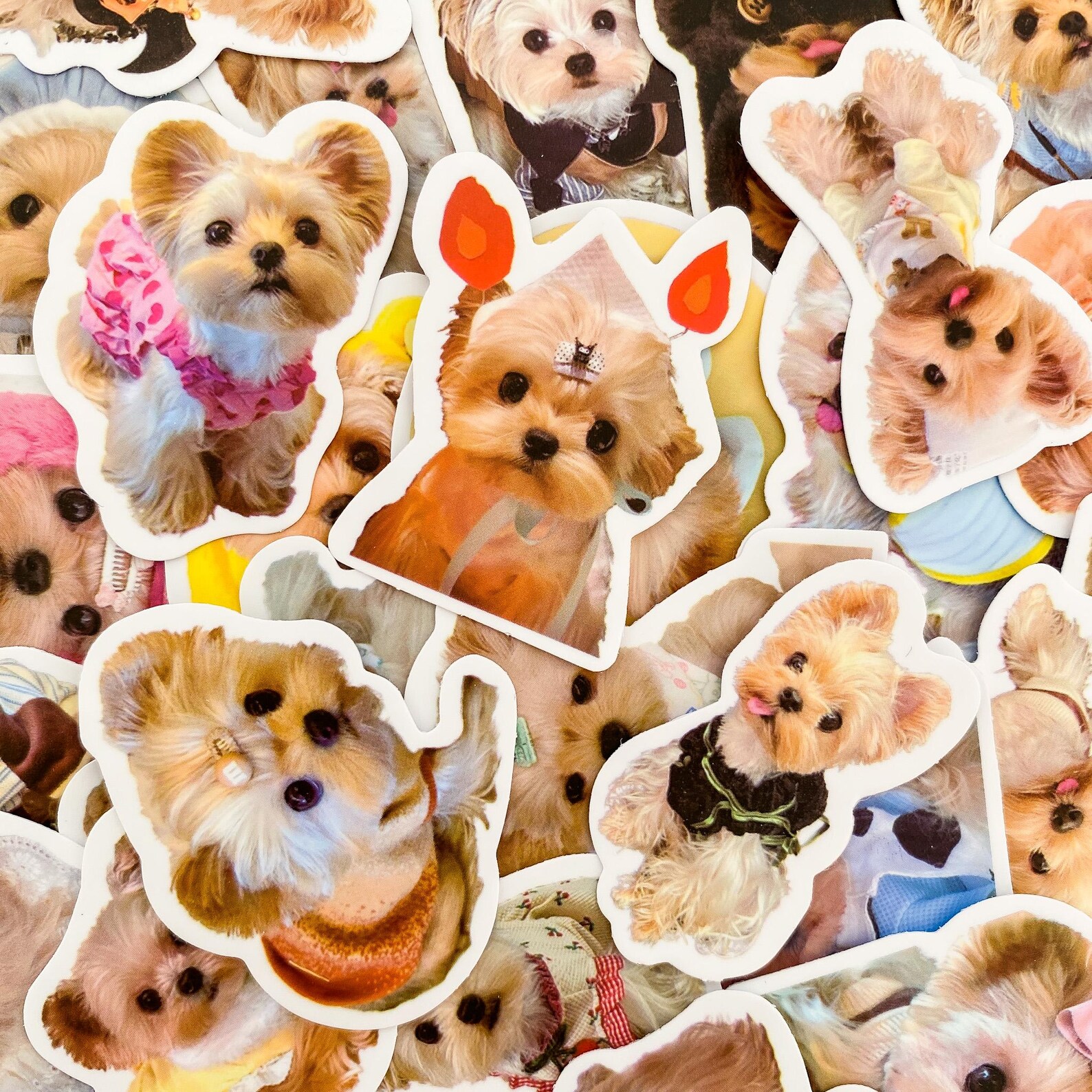 50pcs Yorkshire Terrier Stickers, Dog-themed Vinyl Stickers, Waterproof ...