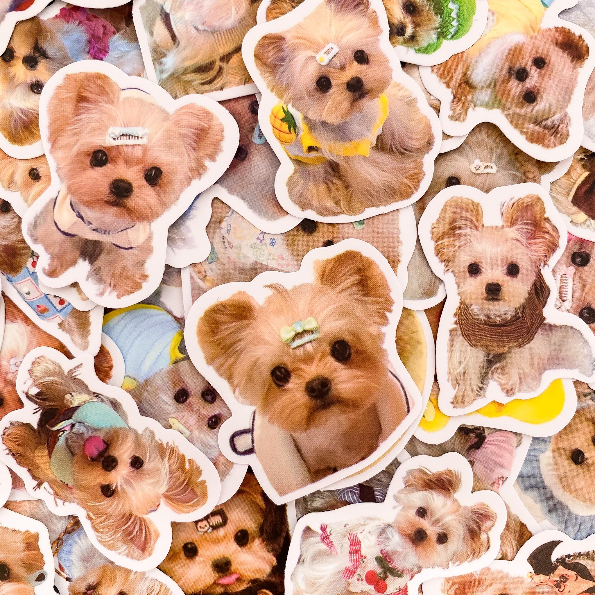 50pcs Yorkshire Terrier Stickers, Dog-themed Vinyl Stickers, Waterproof ...