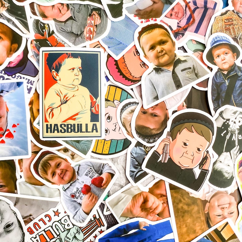 50pcs Hasbulla Meme Stickers, Funny Stickers Pack, Waterproof Cute ...