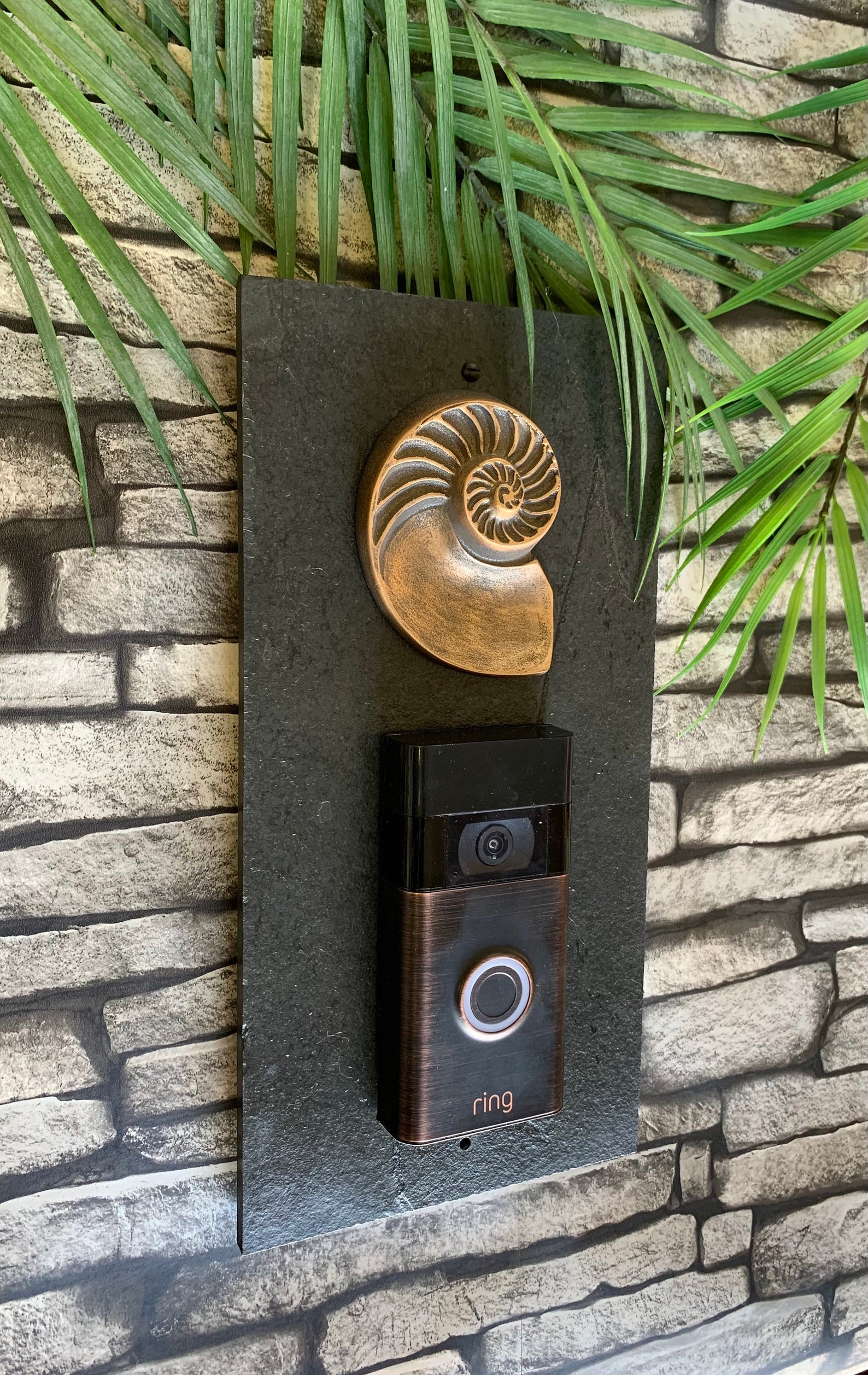Slate Video Doorbell Mounting Plate Coastal Sea Shell - Etsy