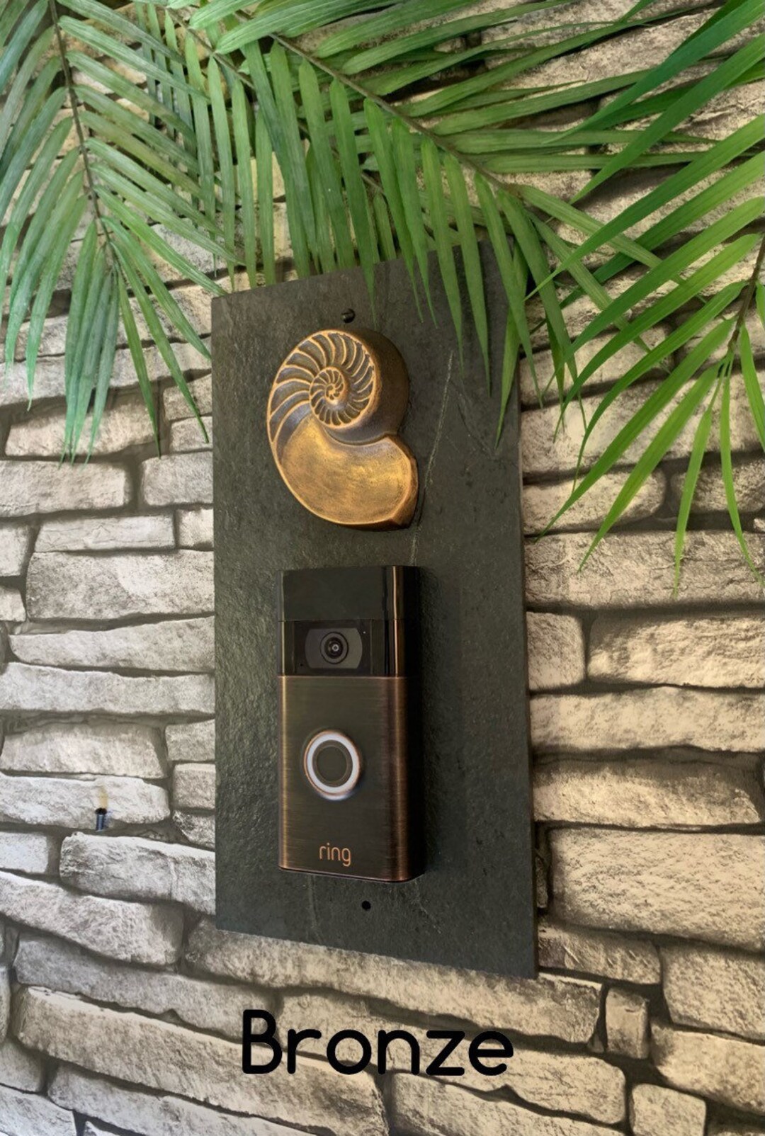 Slate Video Doorbell Mounting Plate, Coastal Sea Shell, Nautilus ...