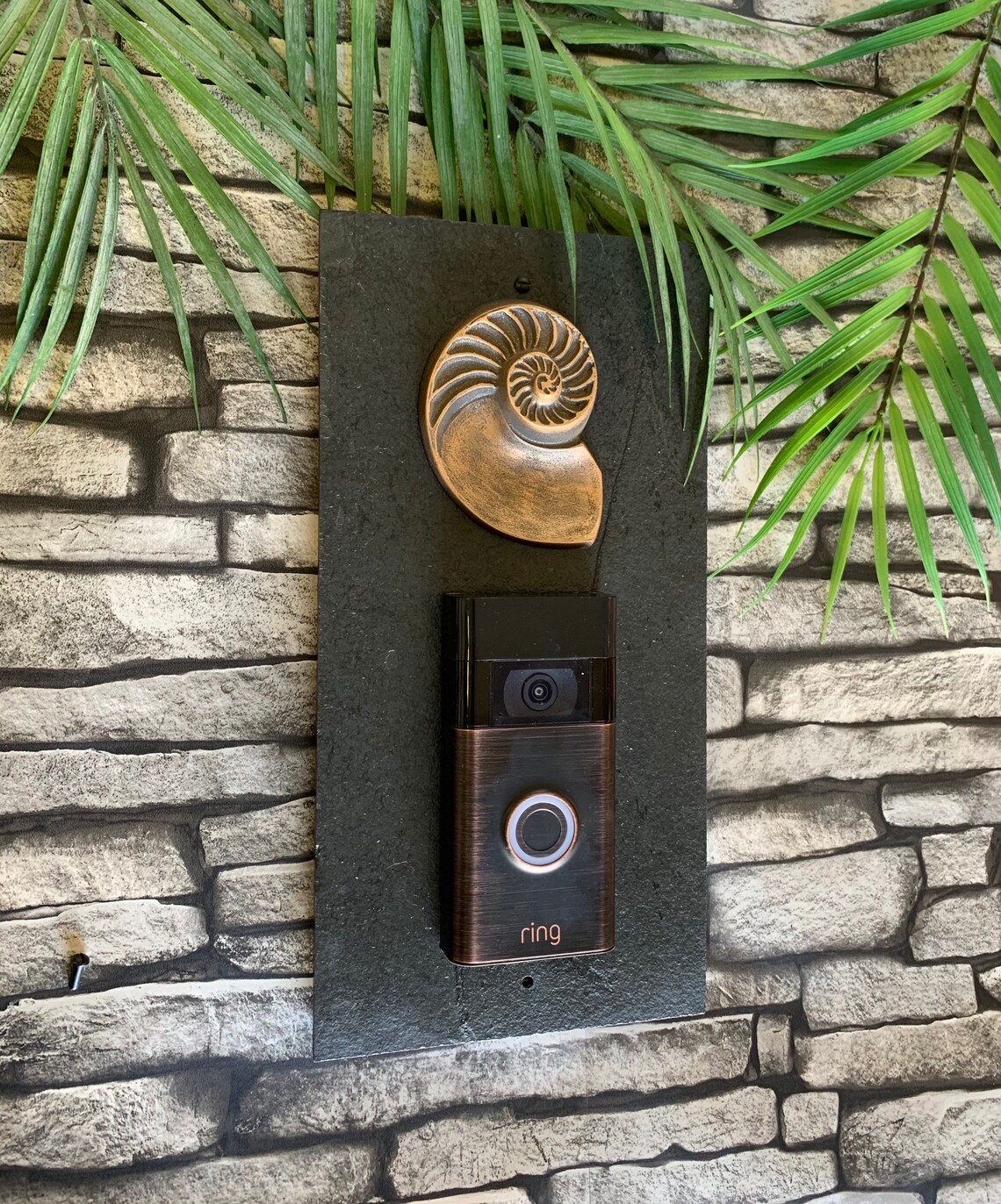 Slate Video Doorbell Mounting Plate Coastal Sea Shell - Etsy