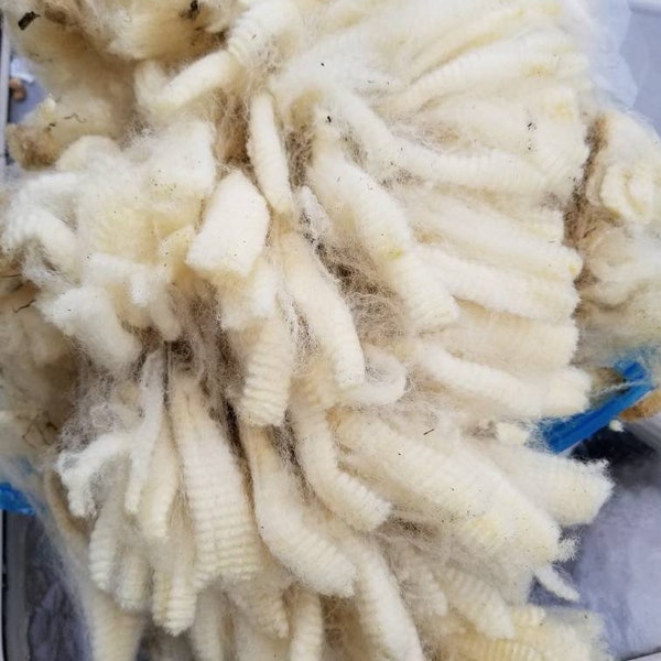 Cormo Fleece - Etsy