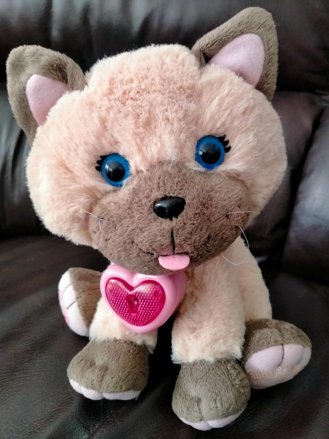 Cabbage Patch Kids 2016 - Adoptimals Siamese Cat Kitty Pet Plush Meow. Cute Siamese Kitten, With ...