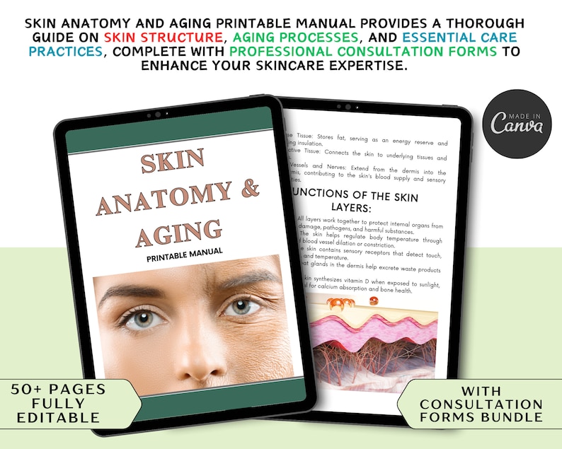 Skin Anatomy & Aging Printable Manual: Skincare Guide (canva Editable ...