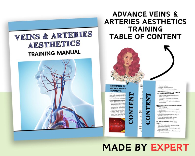 Facial Anatomy Veins & Arteries Training Manual: Medspa Decor (digital ...