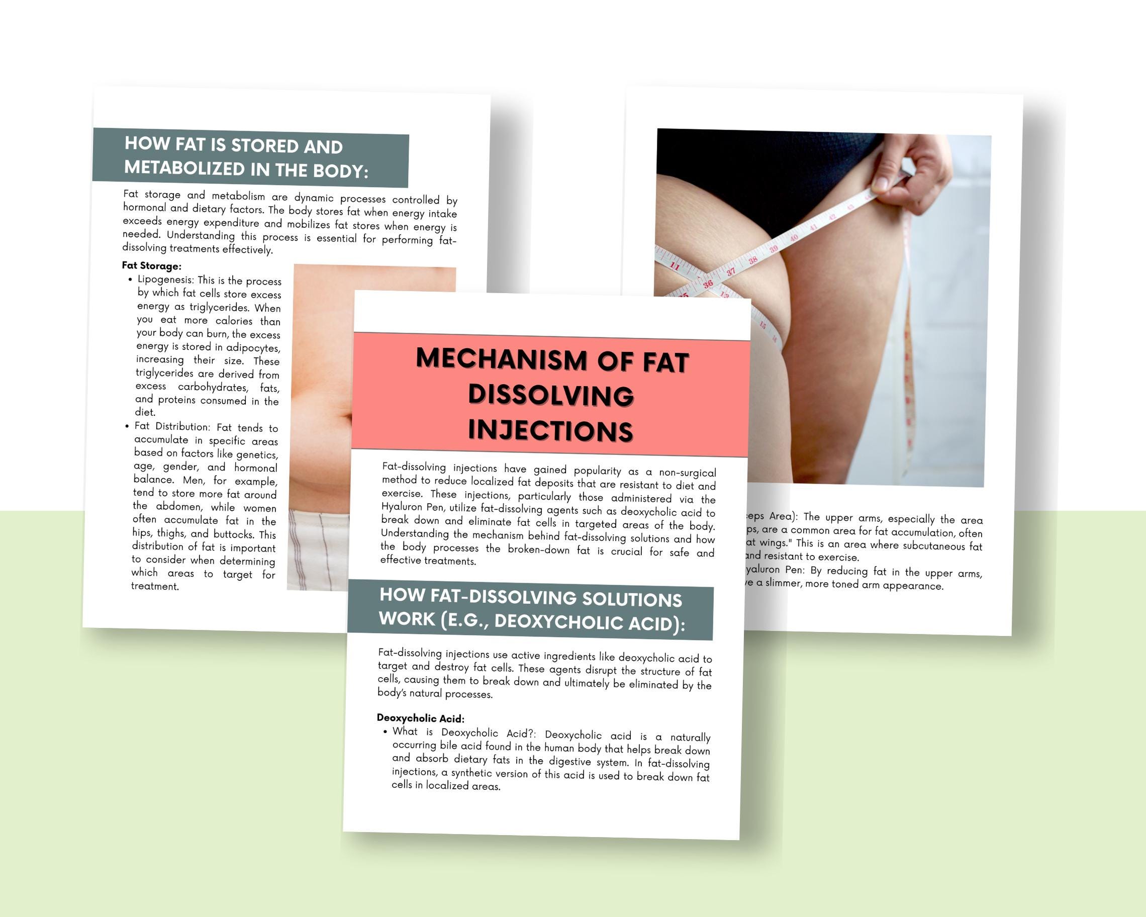 Hyaluron Pen Fat Dissolve Training Manual: Lipolysis Online Course ...