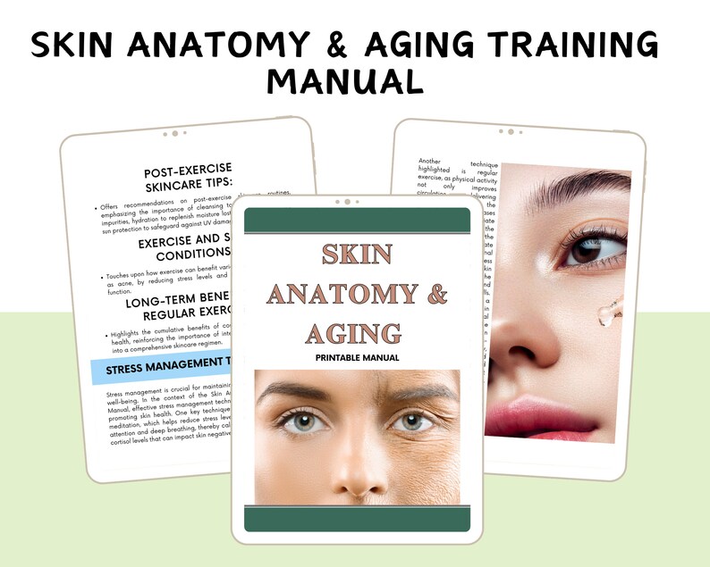 Skin Anatomy & Aging Printable Manual: Skincare Guide (canva Editable ...