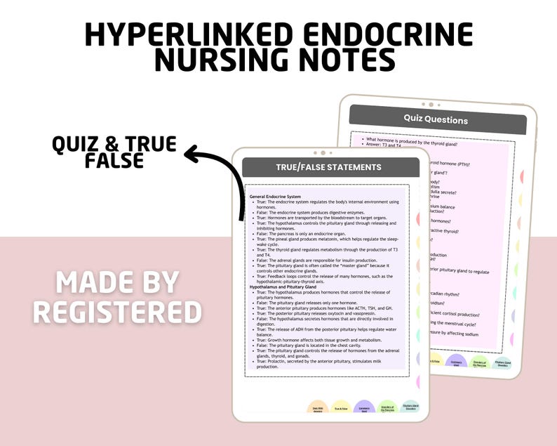 Endocrine Notes | Endocrine System Disorders | Nursing Bundle | PDF - Etsy