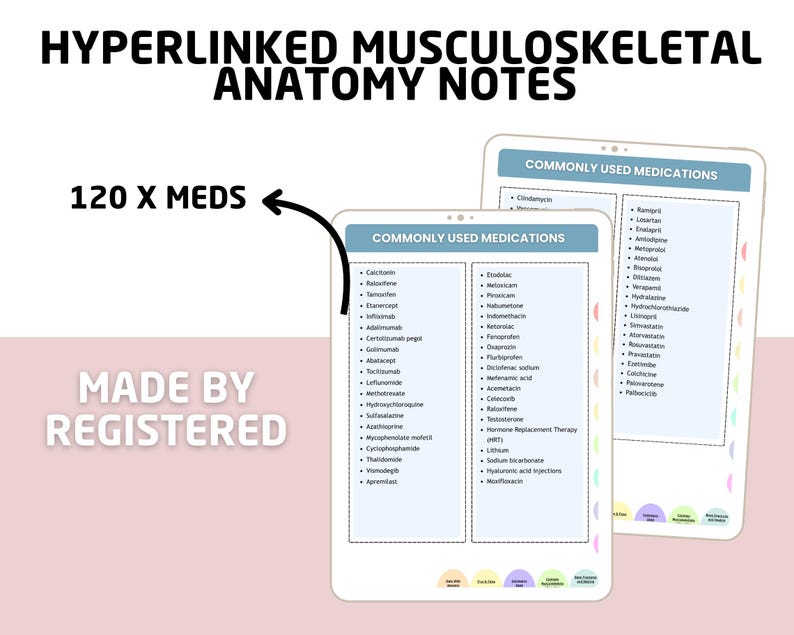 Musculoskeletal Anatomy Notes: Skeletal System Study Guide (digital ...